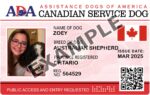 Canadian Service Dog – Assistance Dog Supplies