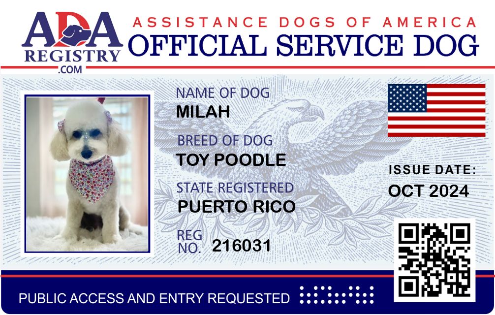 Assistance Dog Products – Assistance Dog Supplies